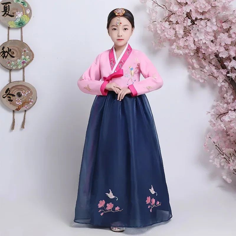 Children Embroidered Korean Hanbok Dress Traditional Palace Wedding ...