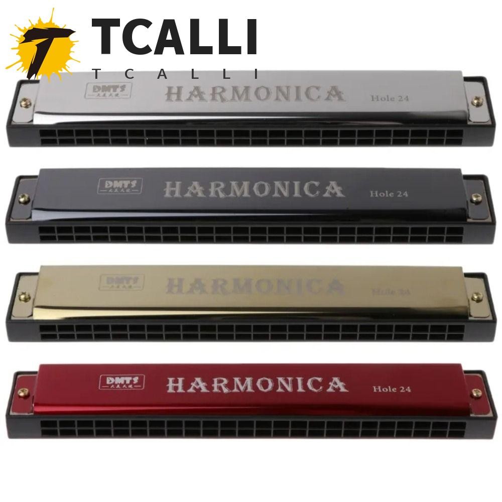 TCALLI 24 Hole Harmonica, Double Row Professional C-key Harmonica ...