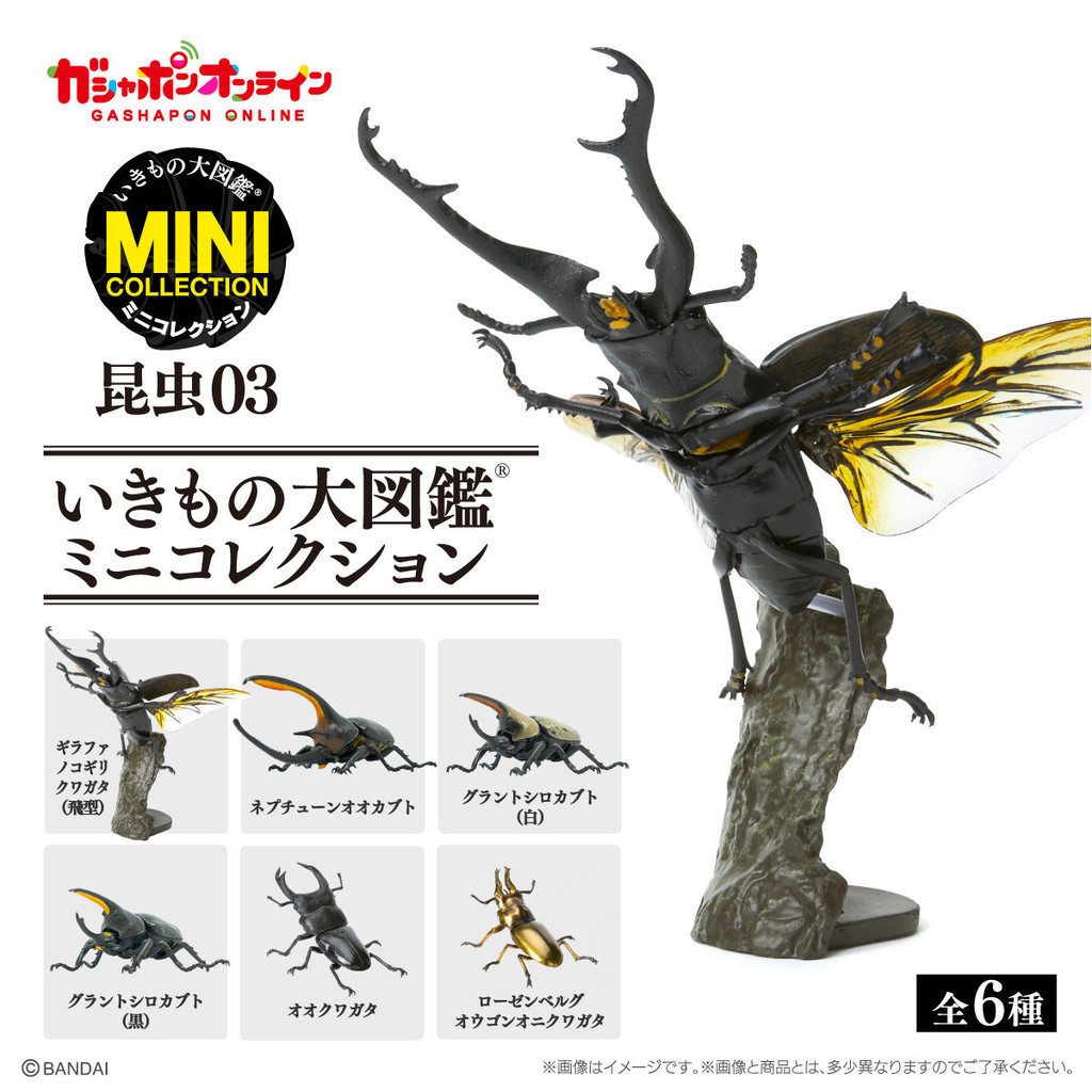 Bandai BANDAI Gashapon Biological Illustrated Book Mini Insect 03 ...