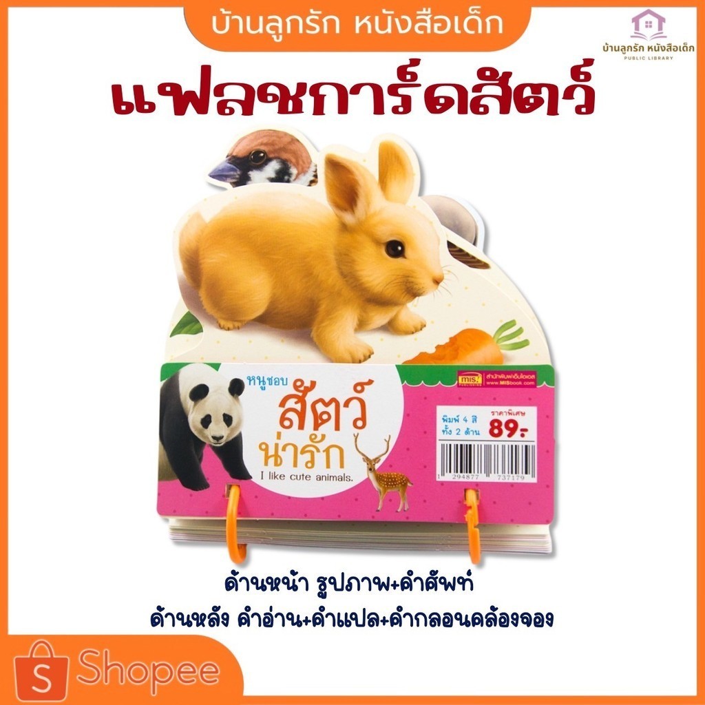 Cute Animal Mouse Flash Cards Category flashcard Picture Card Word ...