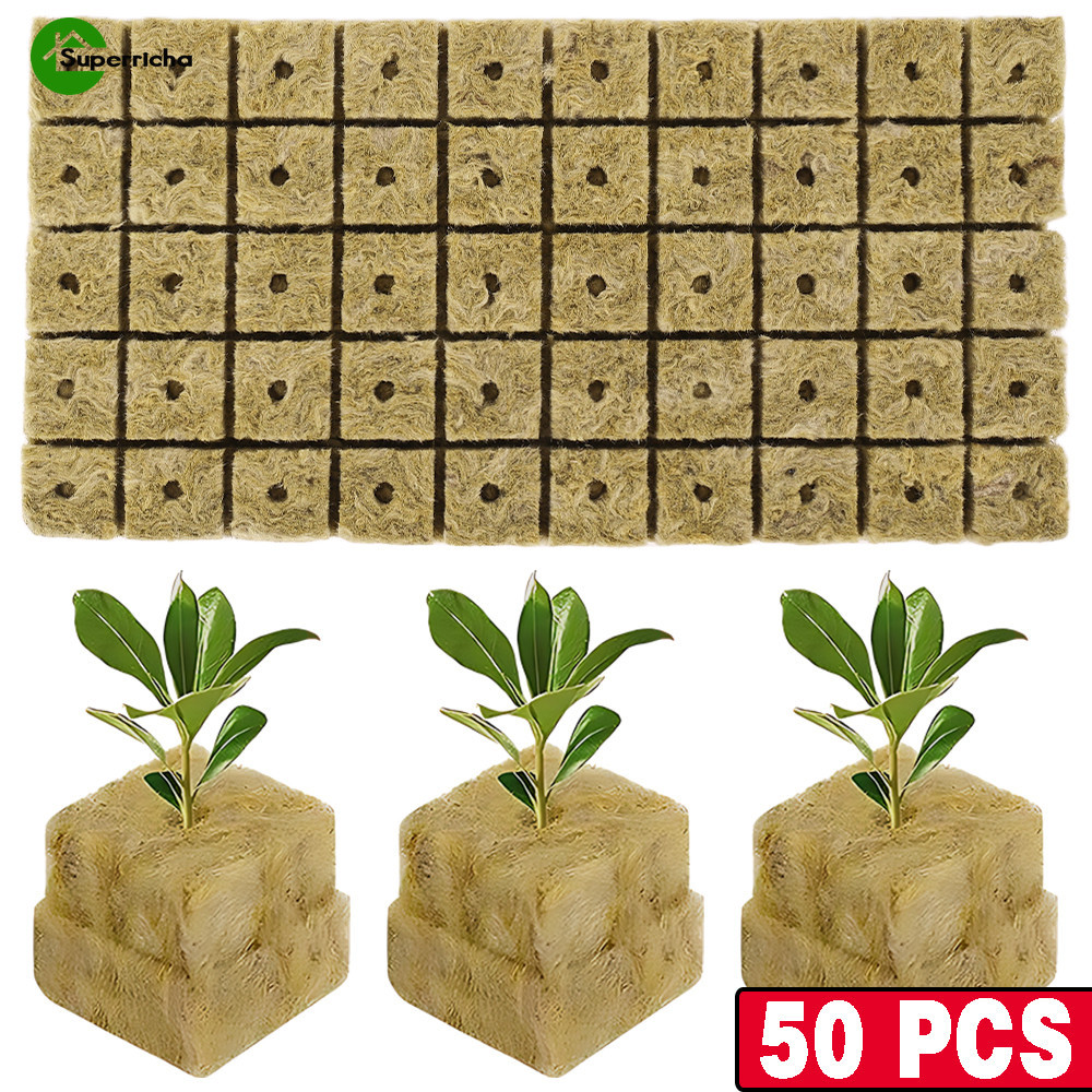 Square Planting Seedling Cultivation Block - Hydroponic Plants Seedling ...
