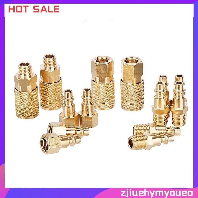 14 Pcs Quick Connect Brass Air Coupler and Plug Kit -Industrial Type 1/ ...