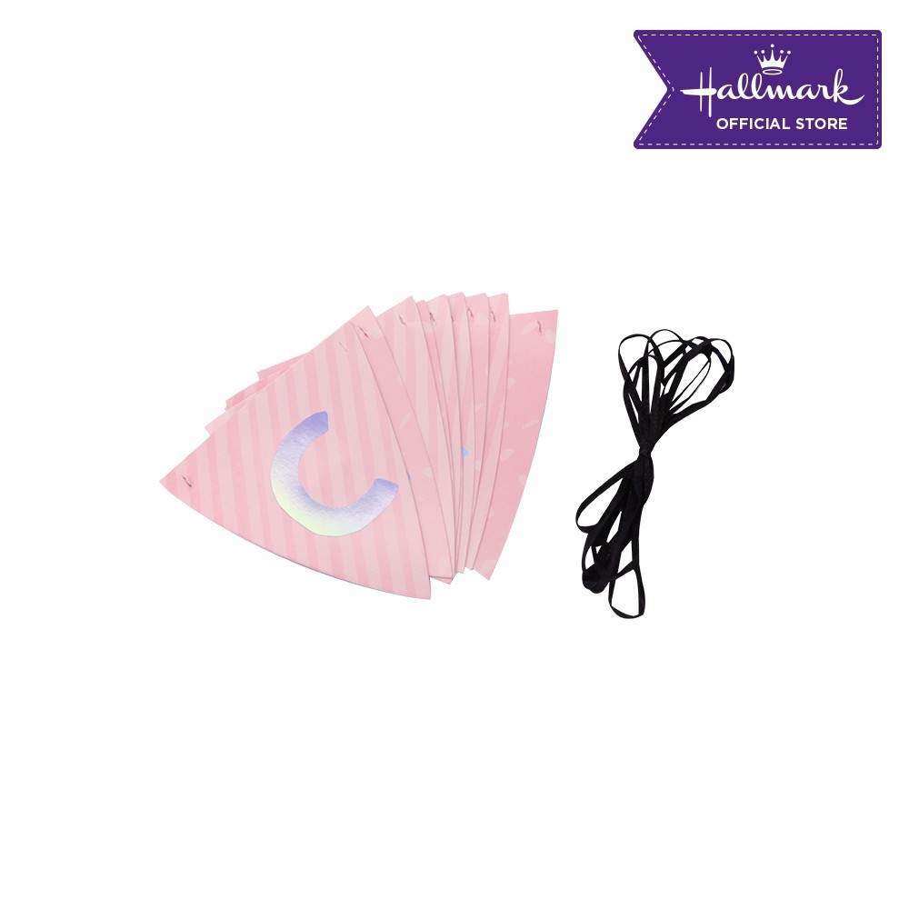 Hallmark Party! Party! Pink Celebrate Birthday Banner Party Decor ...