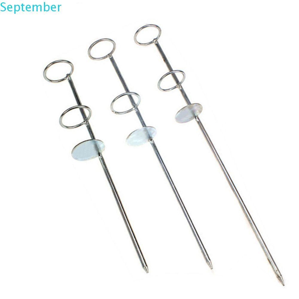 SEPTEMBER Fishing Rod Holder Tackle Fishing Tools Ground Spike ...