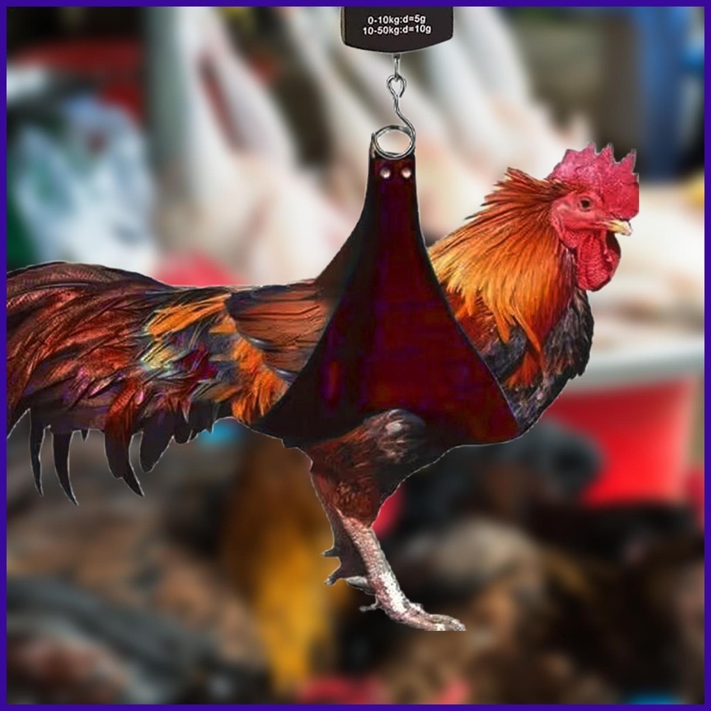Chicken Holder Bag Weighing Scale and Hen Carrier Sling Chicken Sling ...