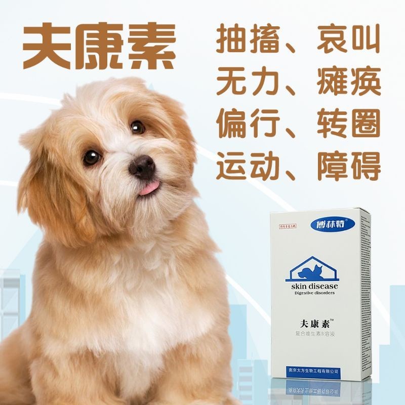 Dogs Cats Neurosis Twitching Rear Legs Powerless Paralyzed Screaming ...