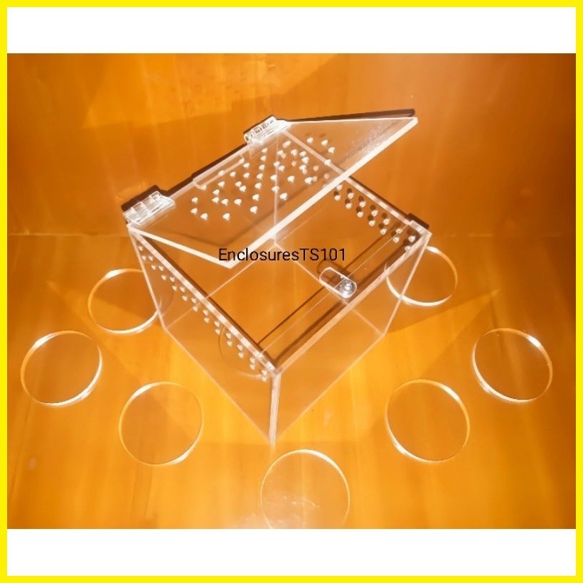 ♠ Acrylic Enclosure Cage Box for Exotic Tarantula Scorpion Reptiles ...