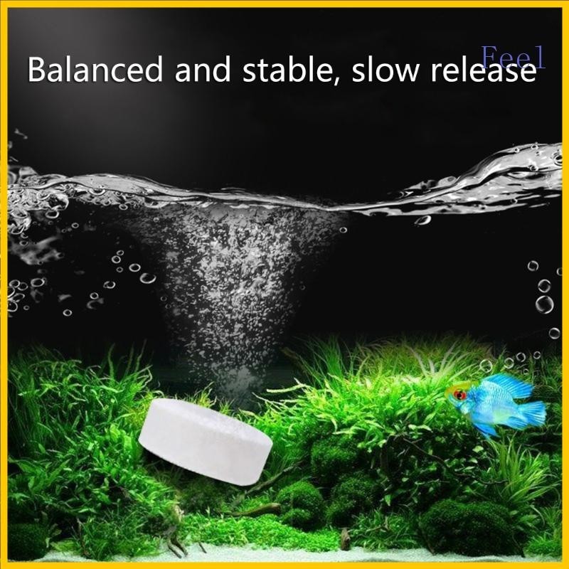 Best CO2 Tablets 100 Tablets Carbon Dioxide For Aquarium Plant Growing ...