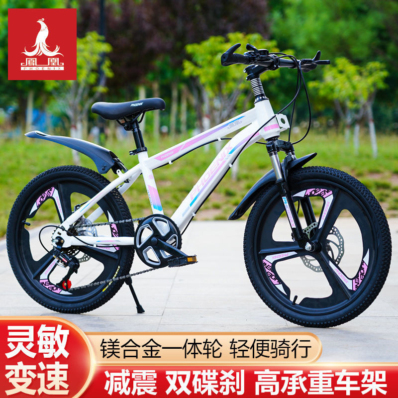 Phoenix Children's Mountain Bike Bicycle with Integrated Gear Shift ...