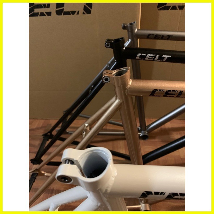 【hot sale】 CELT 2k24 FIXED GEAR frame set | Shopee Philippines