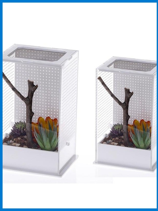 NEX Insect Feeding Box Transparent Reptile for Carrier Plastic Box Easy ...