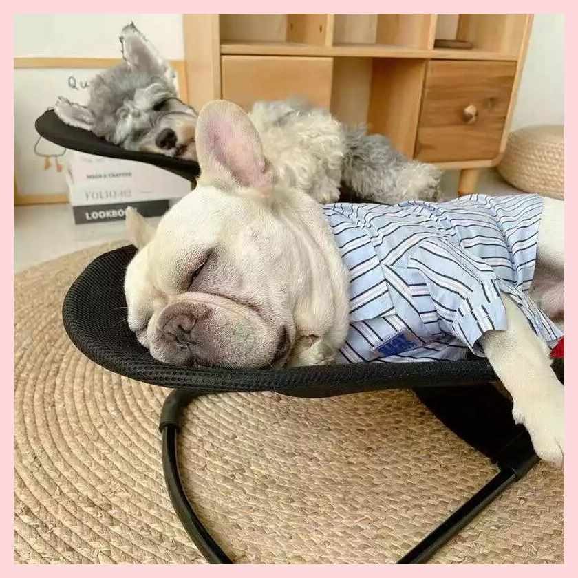 Dog:ESu^Cat}di>Rocking(tC=Chair(id=Pet(yR=Shaker(KL=Spring(am=Recliner ...