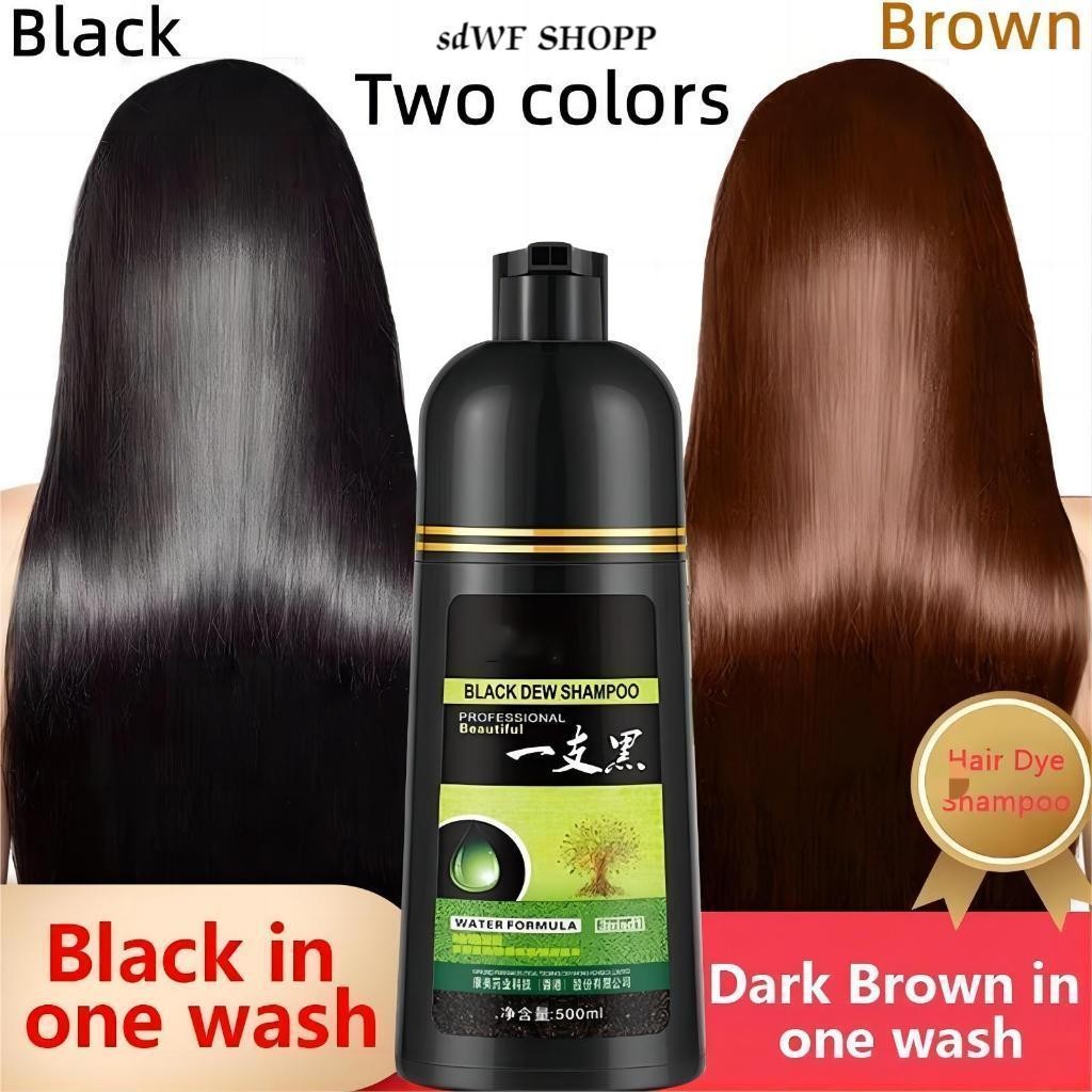 TEN TWENTY Herbal Hair Dye Shampoo for Non-Irritating Transformation to ...