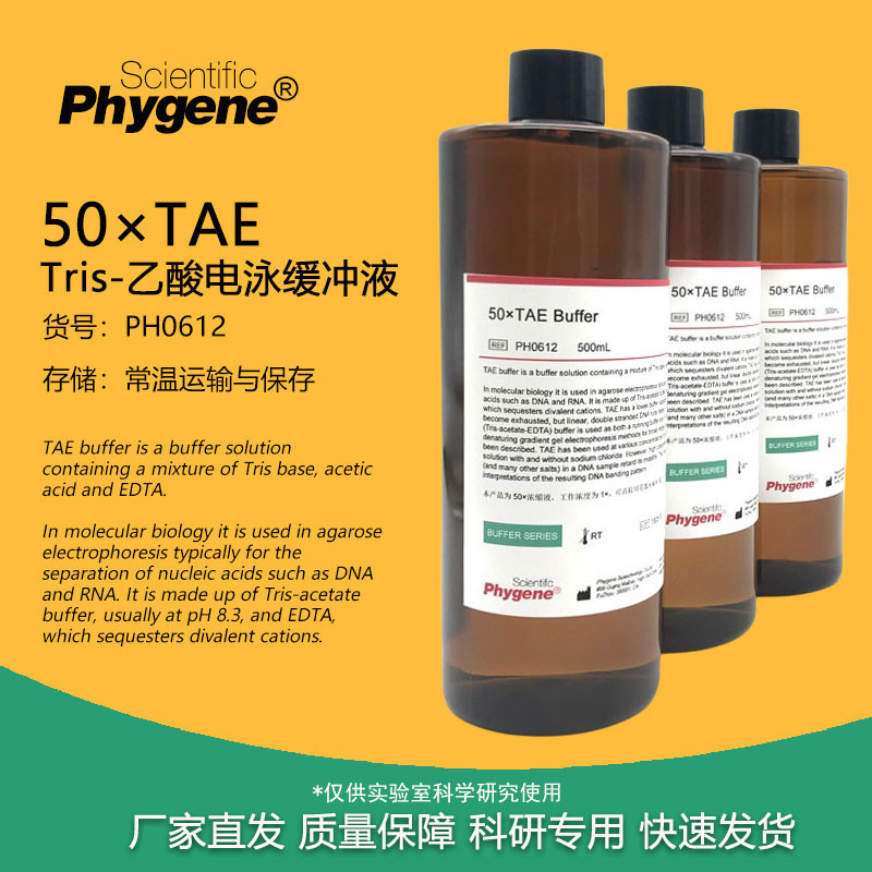 50x Tae Tris Electrophoresis Buffer 50x Tae Buffer 500ml | Shopee Philippines