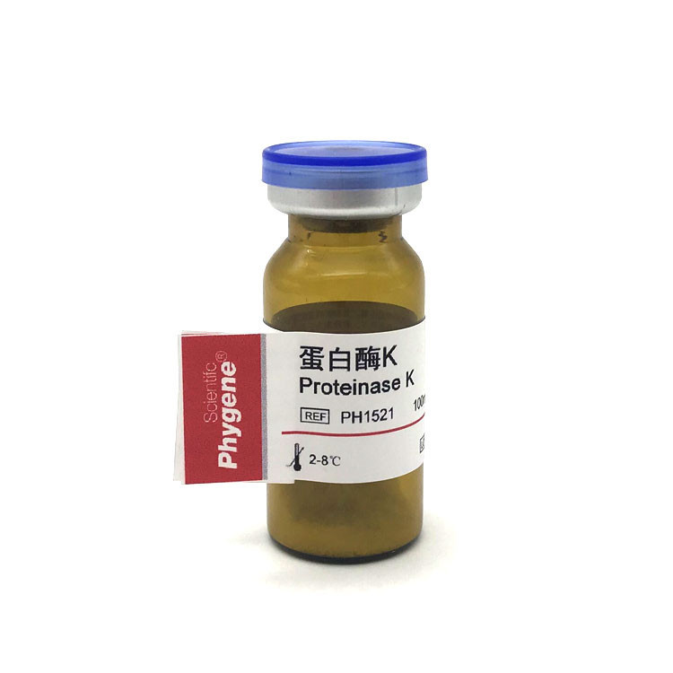 Protease K Proteinase K Experiment Dedicated 100mg Scientific research ...