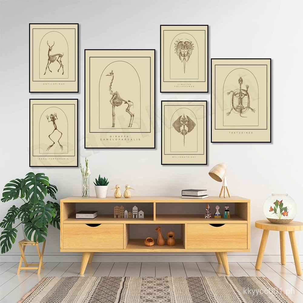 Stingray, flounder, giraffe, frog, horseshoe crab, antelope animal ...