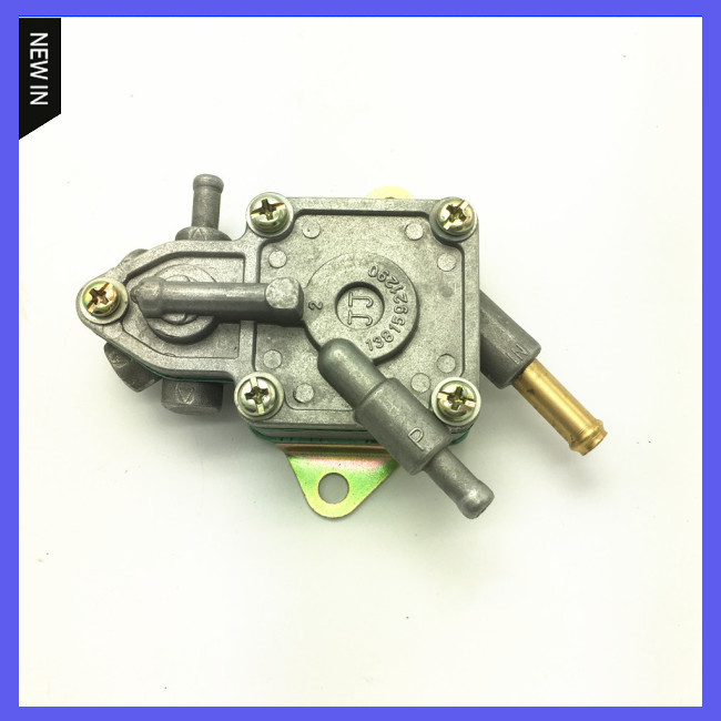 HOT Aluminum Alloy Fuel Pump For Bighorn 260cc Buyang 300cc D300 JCL ...