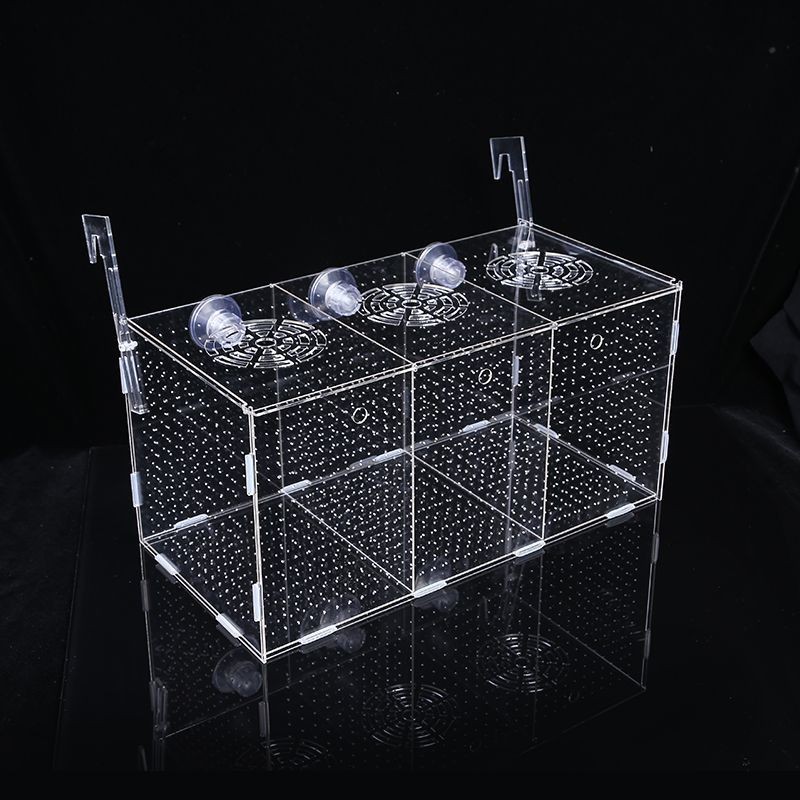 Fish Tank Isolation Box Transparent Acrylic Incubation Box Guppy ...