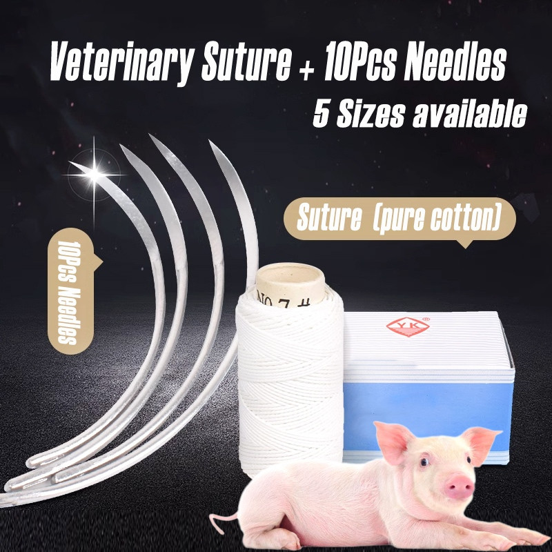 10Pcs Veterinary suture needle Stainless steel surgical Curve needle ...