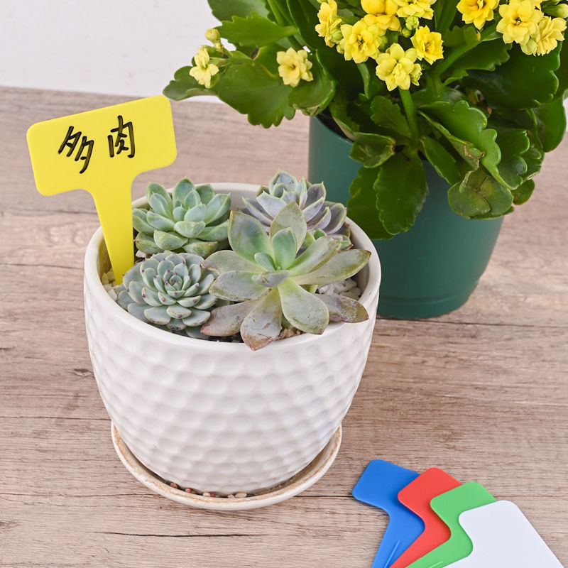Gardening Labels Succulent Labels Logo T-Shaped Flower Labels Plant ...