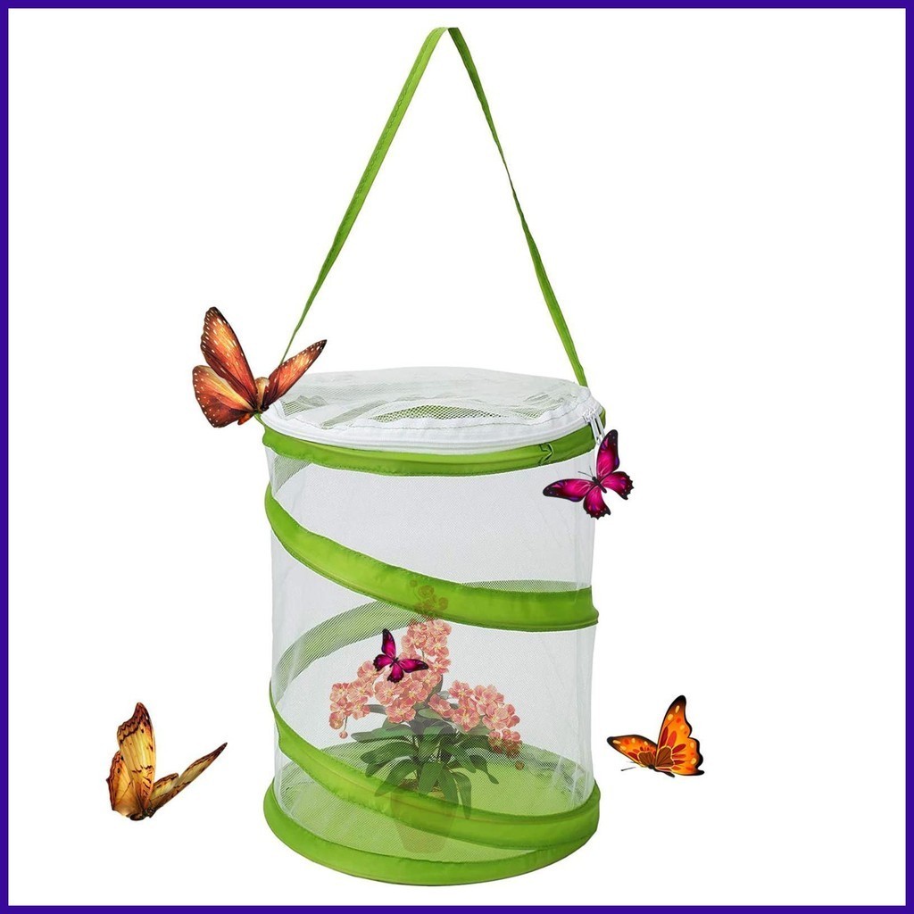 Butterfly Enclosure Mini Mesh Cage errarium Pop-up Caterpillar Habitat ...