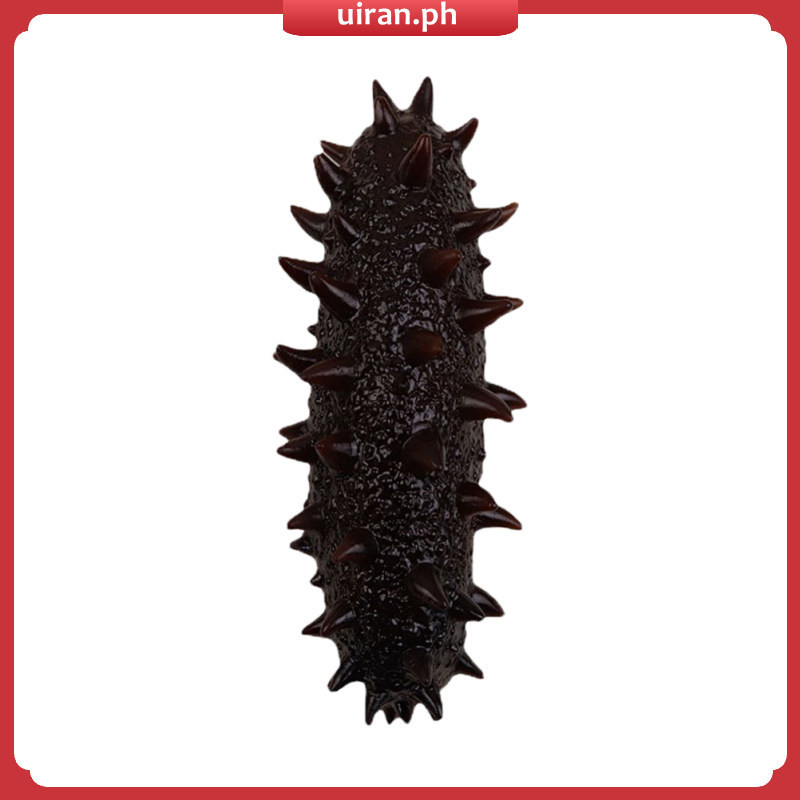 Sea Cucumber Model Simulation Models Artificial Decorative Slug Prop ...