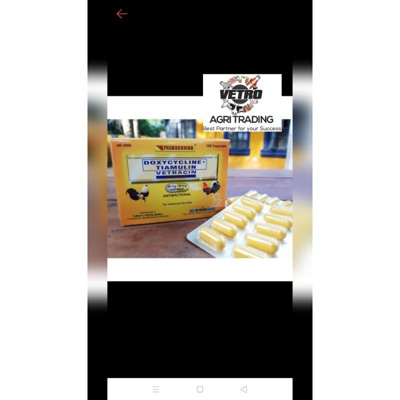 ♞Vetracin Gold Capsule 10pcs only ( Poultry & Gamefowl ) | Shopee ...