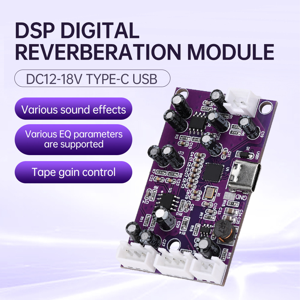 DC12-18V DSP Digital Reverberation Module Anti Whistling Computer ...