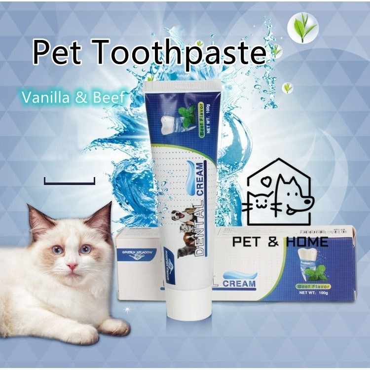 PET & HOME Pet Tooth Cleaning Supplies Dog Healthy Edible Toothpaste ...