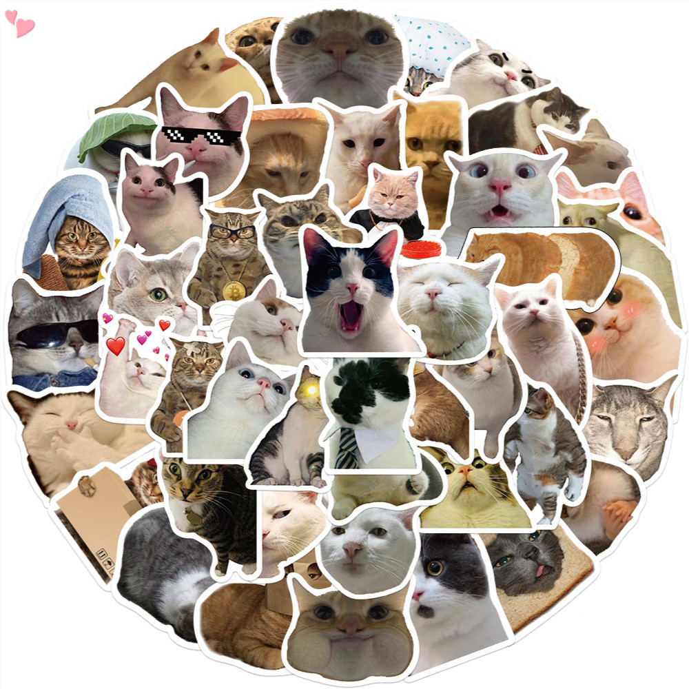 50 PCS Cat Stickers, Kitten Vsco Aesthetic Boho Stickers, Lovely Vinyl ...