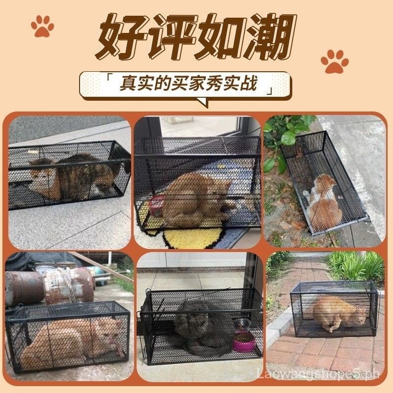 Full-Automatic Cat-Trap Cage Large Cat Catching Artifact Catch Stray ...