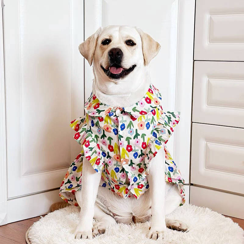 Dog Clothes Large Dog Summer Little Fresh Skirt Labrador Golden ...