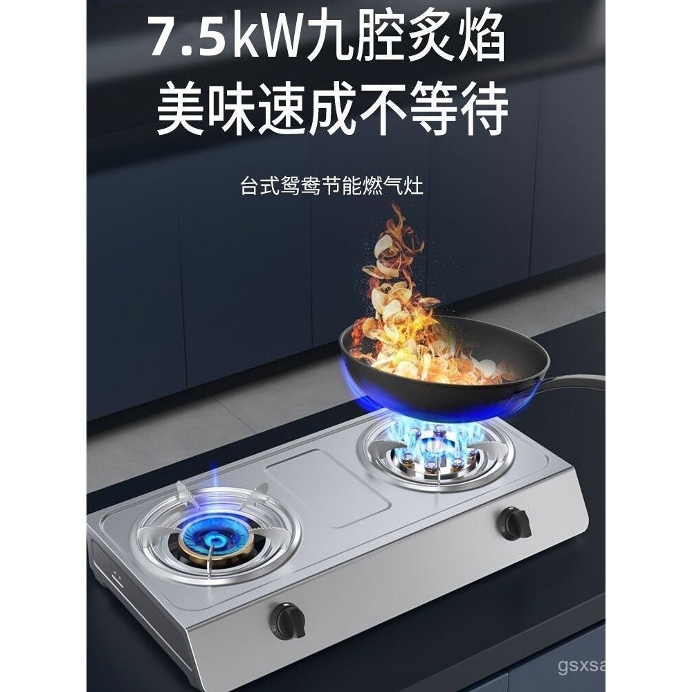 Sakura Gas Stove Double Burner Household Countertop Stainless Steel ...