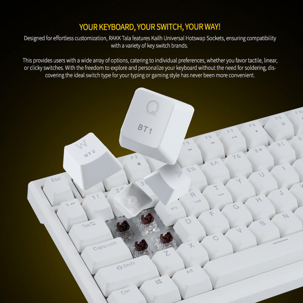 RAKK TALA 81 Keys Trimode Gaming Keyboard| RGB| Universal Hotswap ...