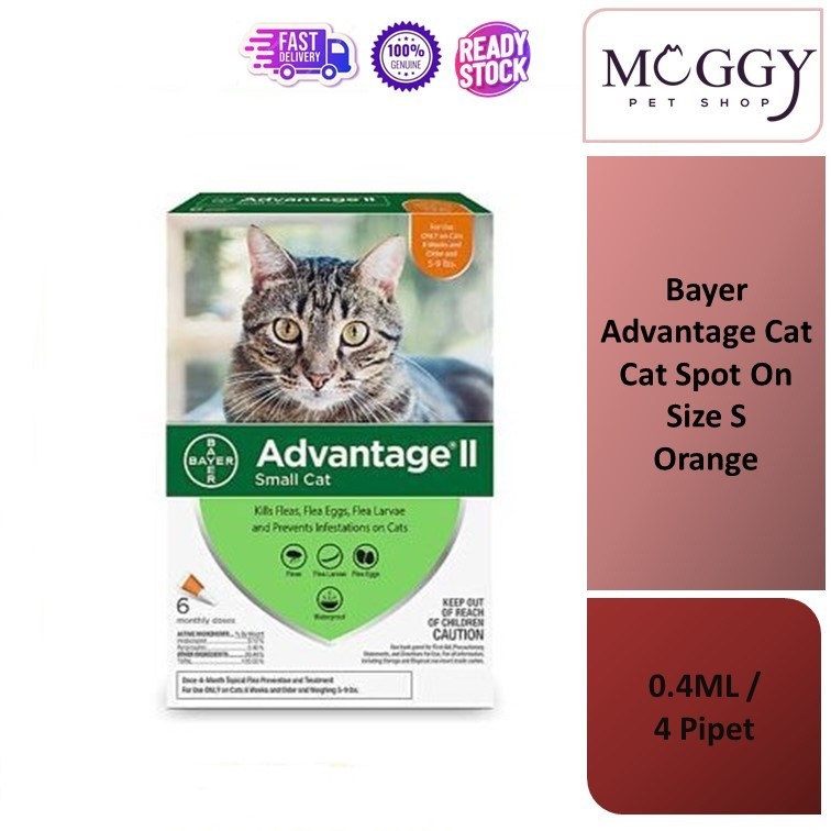 Bayer Advantage Cat Spot On S ( Box - orange ) | Shopee Philippines