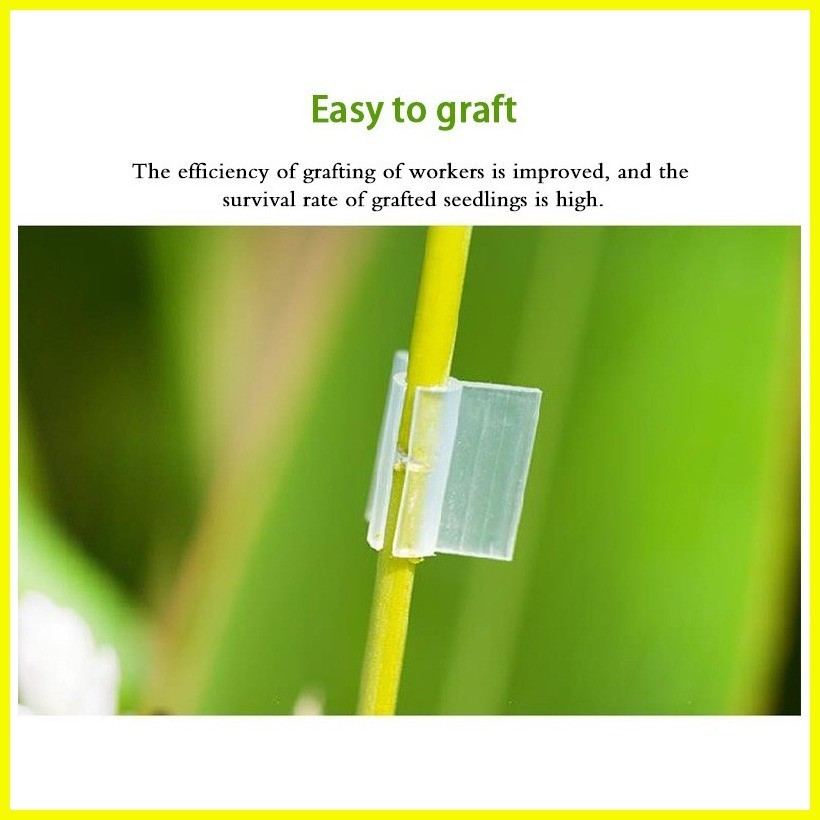ஐ 100pcs Plant Grafting Clips Mini Transparent Tomato Plant Support ...