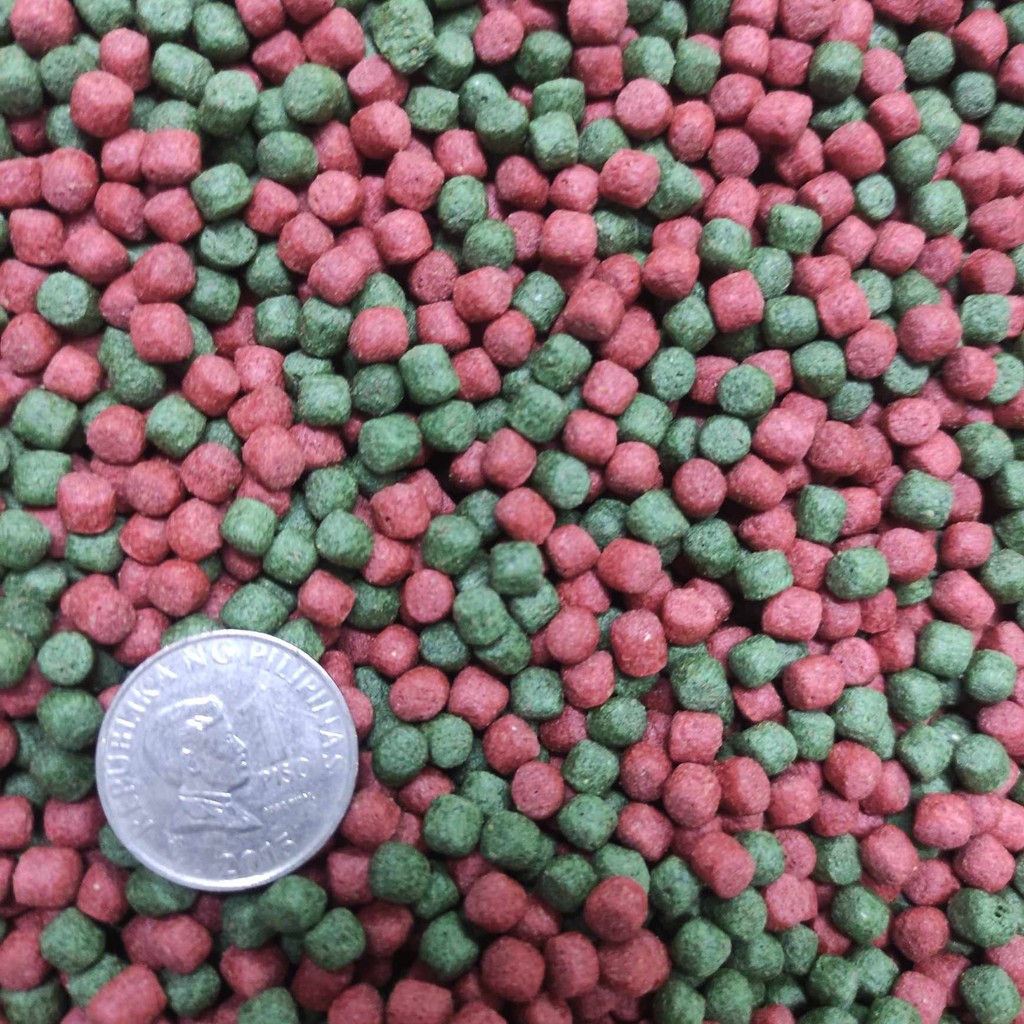 High Protien Floating Tropical Rainbow Pellet Fish Food (Large ...