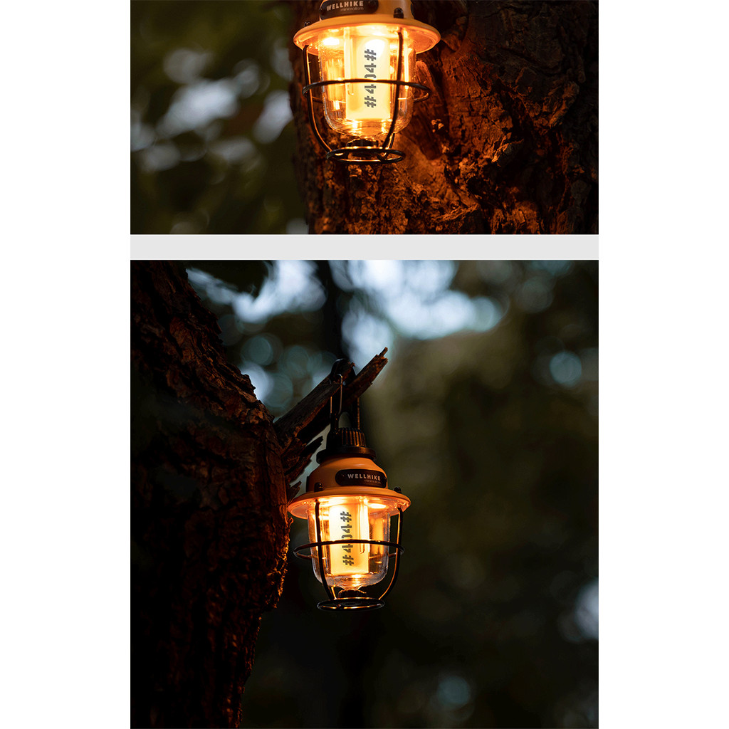 WELLHIKE Outdoor Lock Loose Fruit Lamp Ultra -Long Closer -End Photos ...