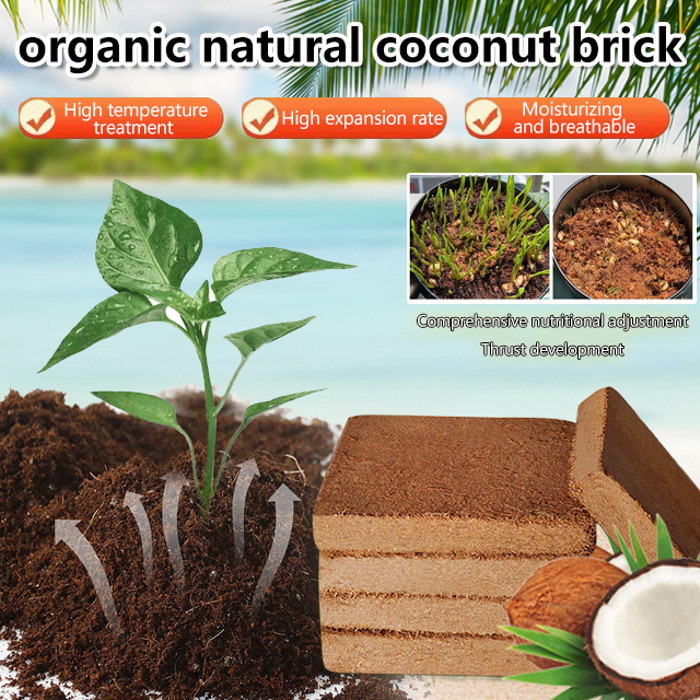 Green Plant Nutrient Soil [organic natural coconut brick] Organic ...