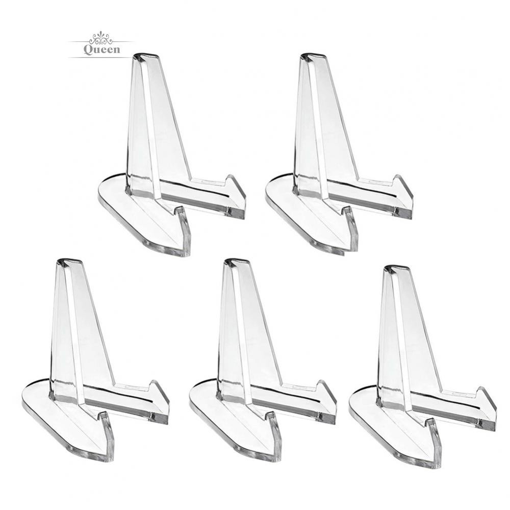 Display Stand Museums Photos Shells Shop Casement Small Plates ...