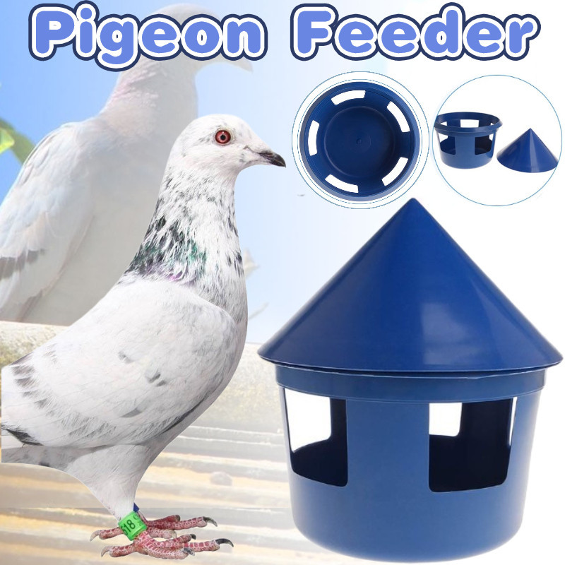 Pigeon Feeder Drinking Container Food Dispenser Sandbox Multifunctional ...