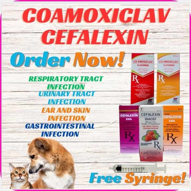 FREE!L;SYRINGE`tq&-`kS&CEFALEXIN`h&AND`C&COAMOX`D&ALSO`h&FOR`y&PET DOGS ...