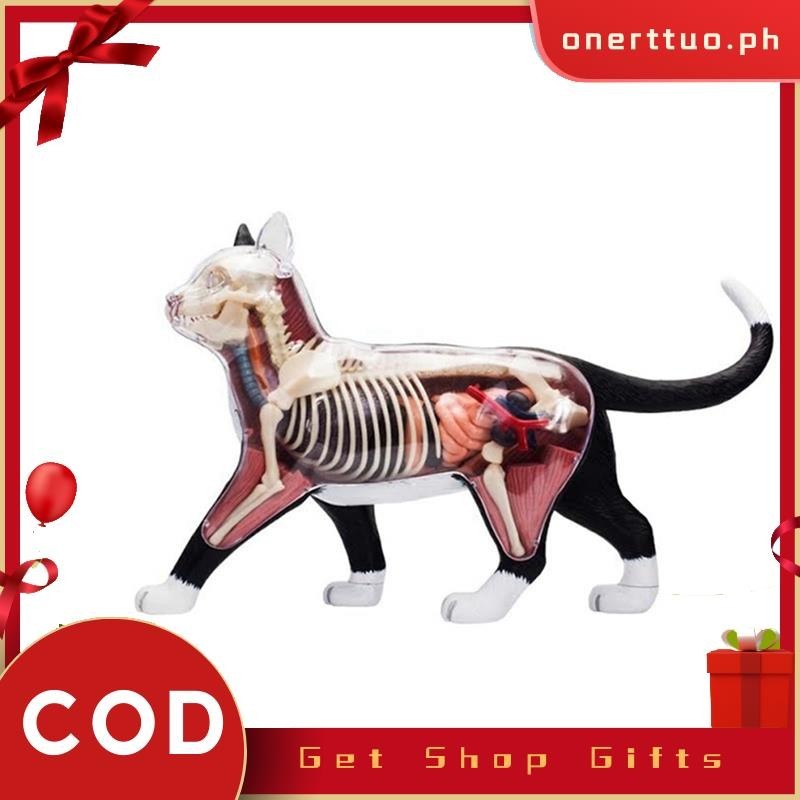 Animal Organ Anatomy Model 4D Cat Intelligence Assembling Toy DIY ...