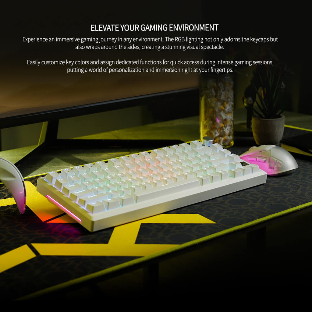 RAKK TALA 81 Keys Trimode Gaming Keyboard| RGB| Universal Hotswap ...