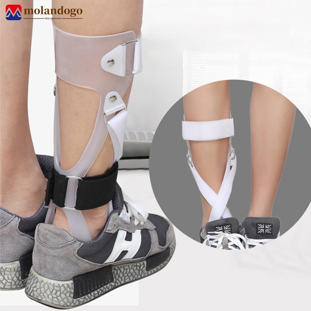 MOLANDOGO Adjustable Foot Drop Orthosis Ankle Foot Drop Postural ...