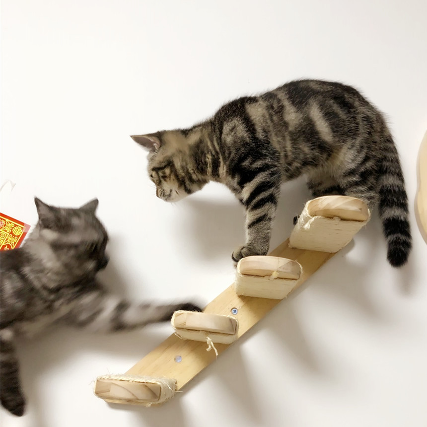 Wooden Cat Climbing Frame Wall Jumping Platform Wall Column Cat Nest ...