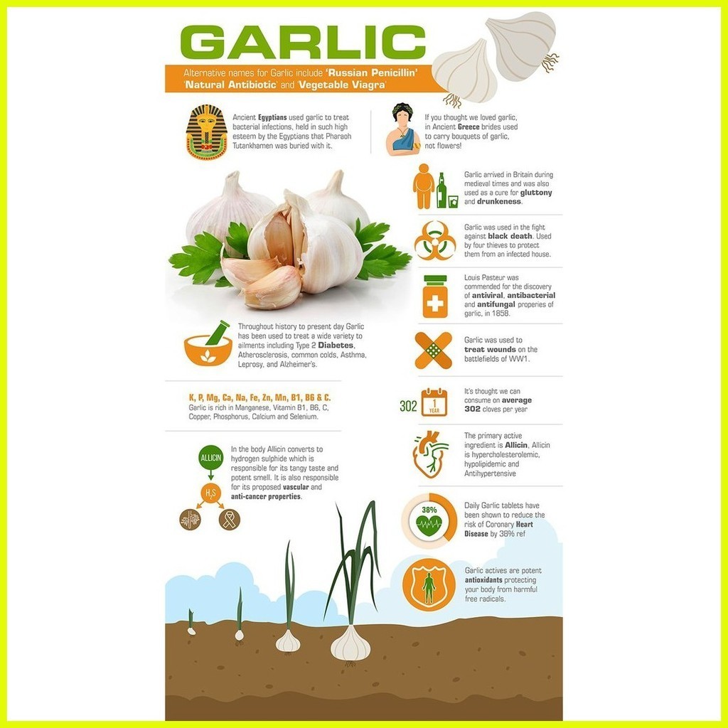 ♞Organic Garlic Capsules (100 Capsules) + FREE 100 grams Garlic Powder ...