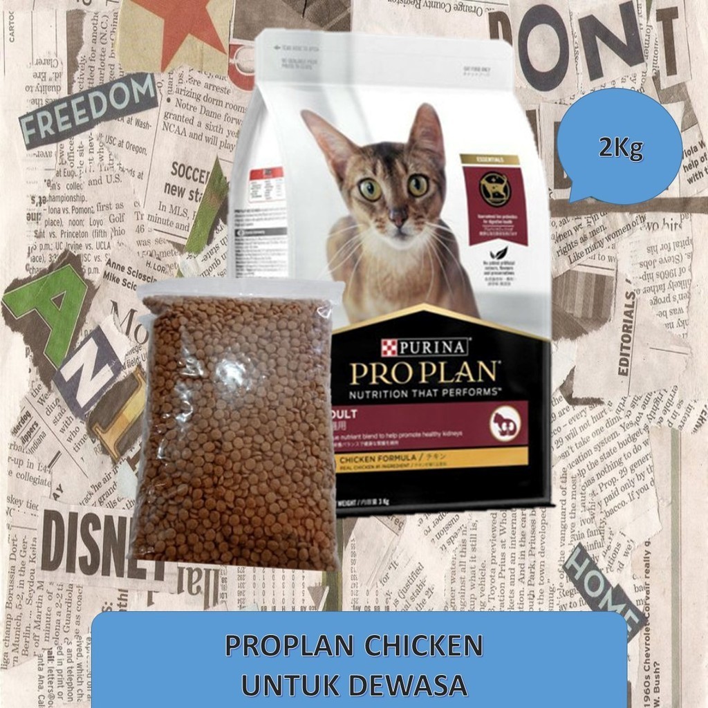 Proplan Pro plan Adult (Adult) Chicken/Salmon 2Kg 2Kg | Shopee Philippines