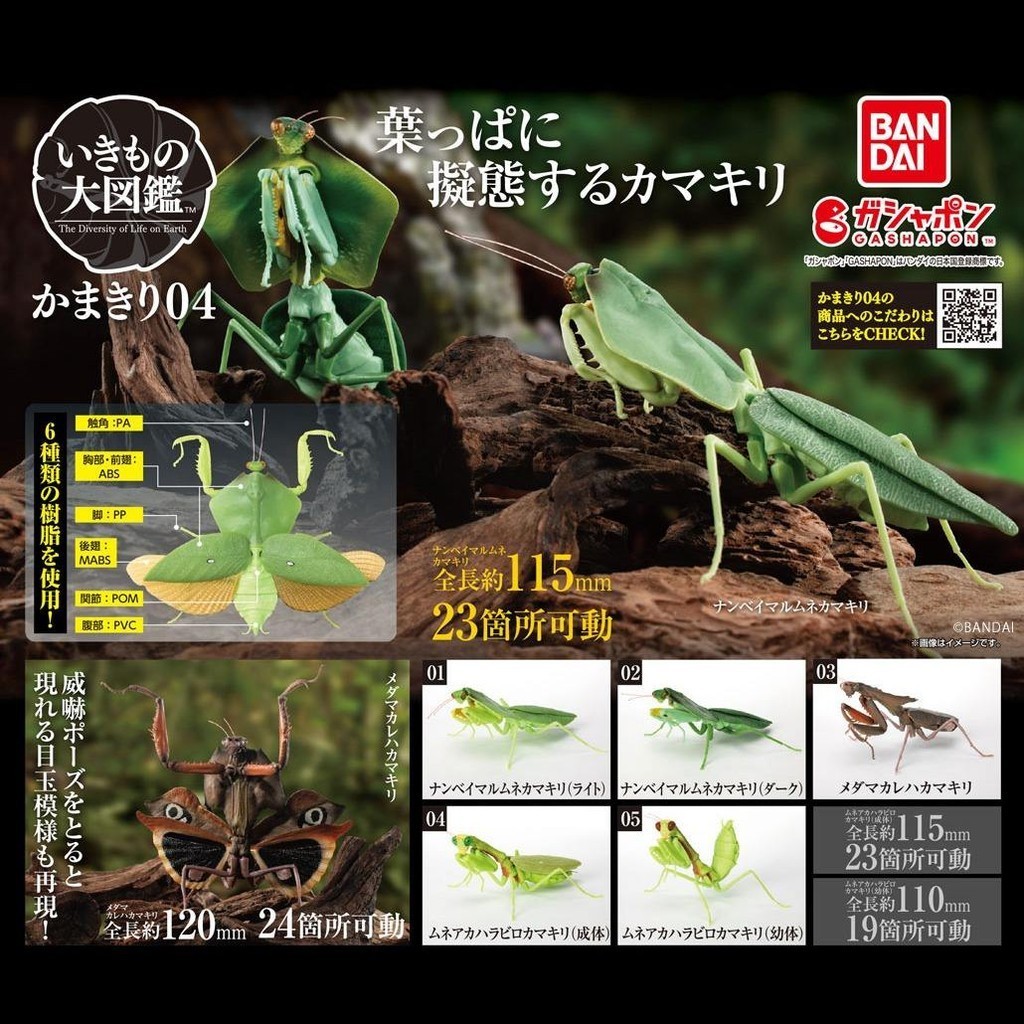 Bandai BANDAI Shellless Assembled Capsule Toy Biological Illustrated ...