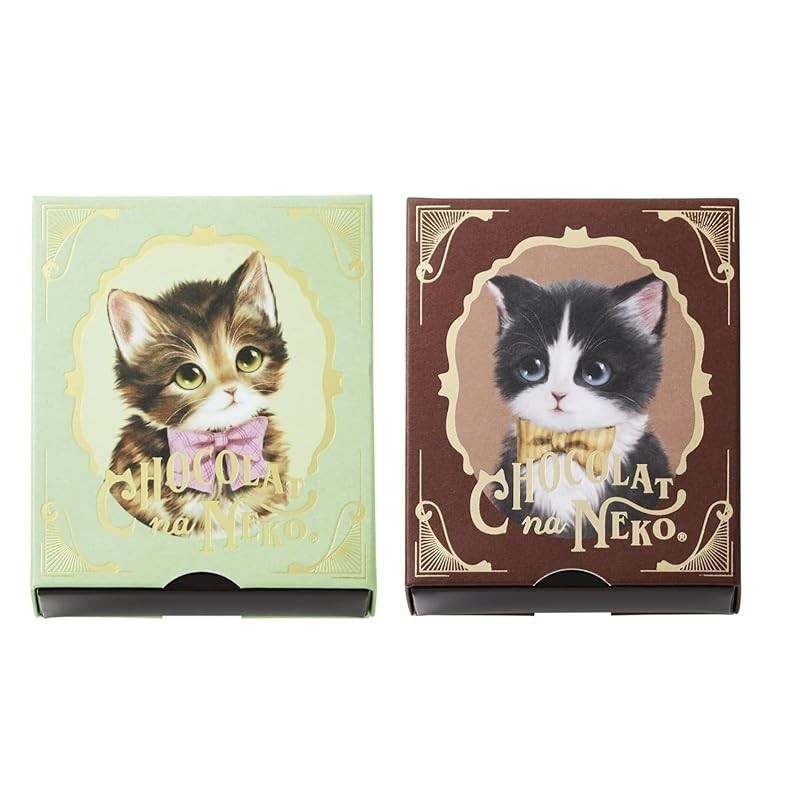 Morozoff chocolatey cat, cool Oliver, sweet Chloe, 2 box set, can of ...
